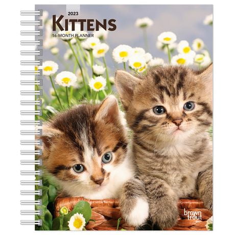 Kittens | 2023 6x7.75 Inch Spiral-Bound Wire-O Engagement Planner ...