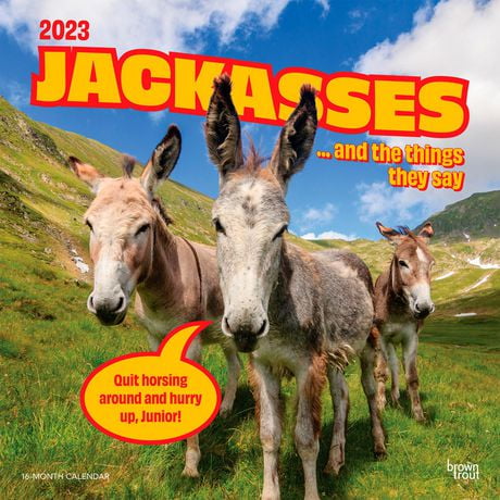 Jackasses | 2023 12x24 Inch Square Wall Calendar | Walmart Canada