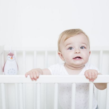 Zazu Zoë The Pingouin Pink Music Box with Nightlight And Wireless ...