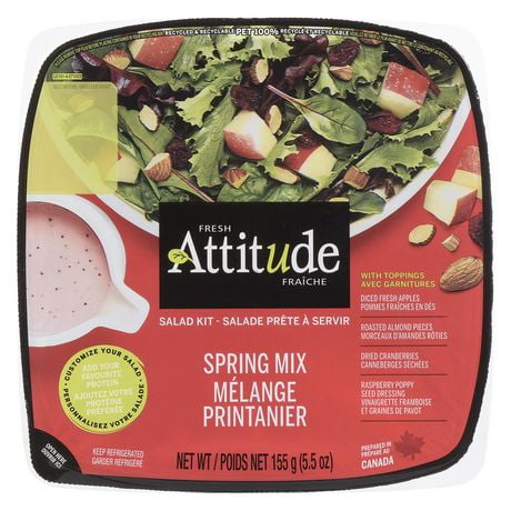 Fresh Attitude Spring Mix Salad Kit | Walmart Canada