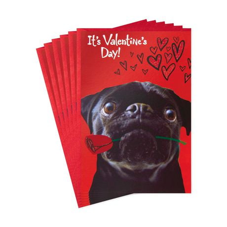 Hallmark Pack of Funny Valentines Day Cards, Pug and a Kiss (6 ...