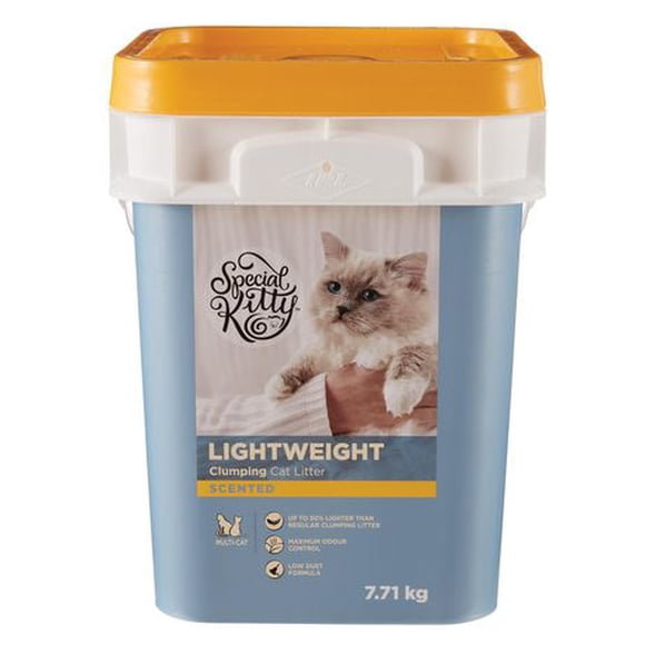 Special Kitty | Walmart Canada
