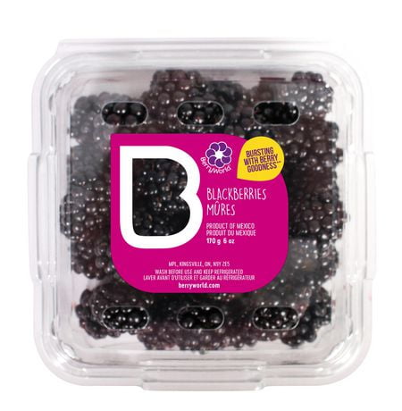 BerryWorld Blackberries Clam 170g | Walmart Canada