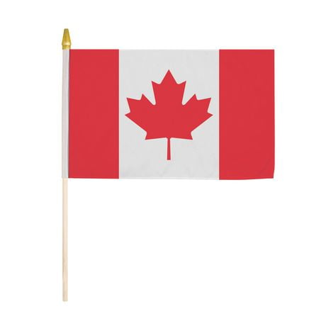 1 CT FLAG CANADA | Walmart Canada