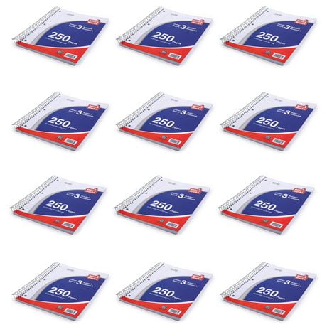Office Works Plain 250-Pages Ruled Book Set | Walmart Canada