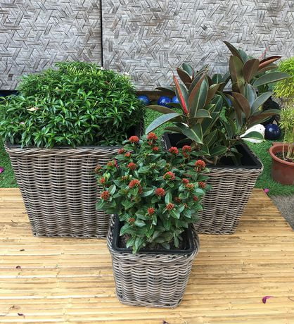 Grapevine Premier Square Resin Wicker Neutral Grey Planters | Walmart ...