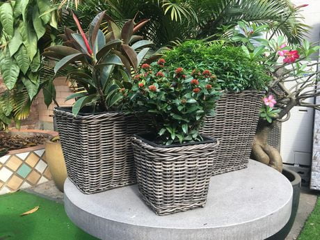 Grapevine Premier Square Resin Wicker Neutral Grey Planters | Walmart ...