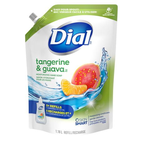 Click here for Dial Eco-Smart Tangerine And Guava Hand Soap Refil... prices