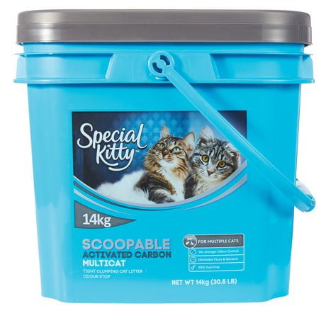 Special Kitty Scoopable Activated Carbon Clumping Cat Litter | Walmart ...