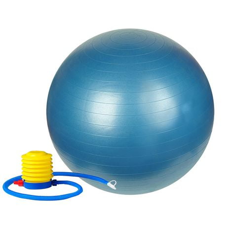 Click here for Sunny Health & Fitness Anti-Burst Gym Ball -55Cm B... prices