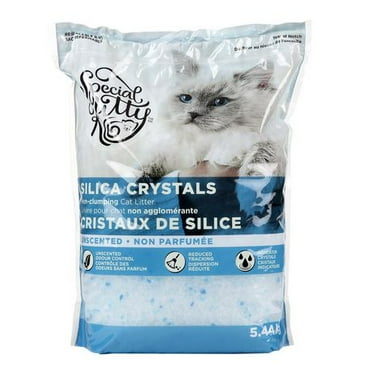Special Kitty Crystal Unscented Cat litter 5.44KG, 5.44 Kg - Walmart.ca
