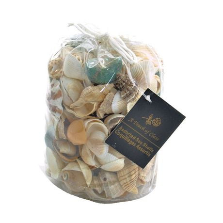 Lerman Decor® Decorative small seashells - Walmart.ca