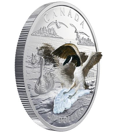Three-Dimensional Approaching Canada Goose - Royal Canadian Mint 2018 ...
