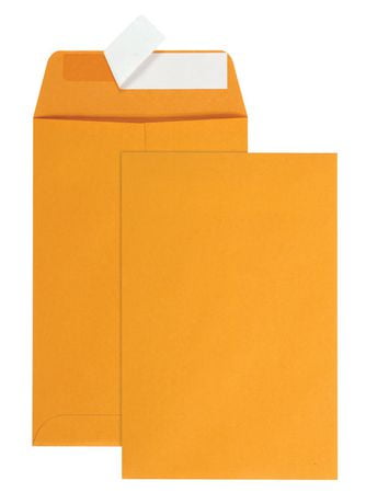 6x9 Catalog Peel & Seal Envelope, Brown Kraft | Walmart Canada