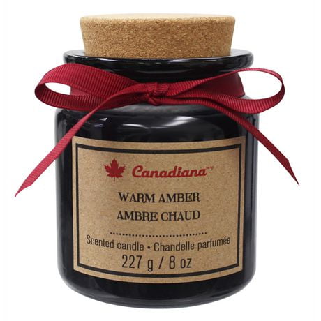 Canadiana Warm Amber Scented Candle - Walmart.ca