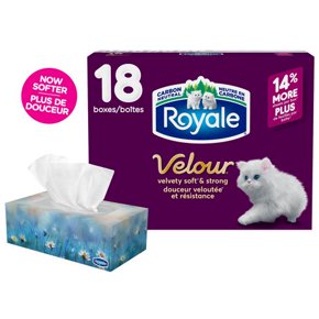 Facial Tissue | Walmart Canada