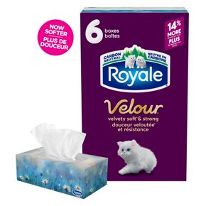 Facial Tissue | Walmart Canada
