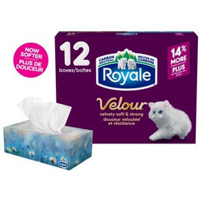Facial Tissue | Walmart Canada