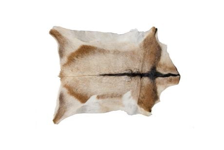 Click here for H-Natural Calfskin Rug Tan & White 2 Ft X 3 Ft prices
