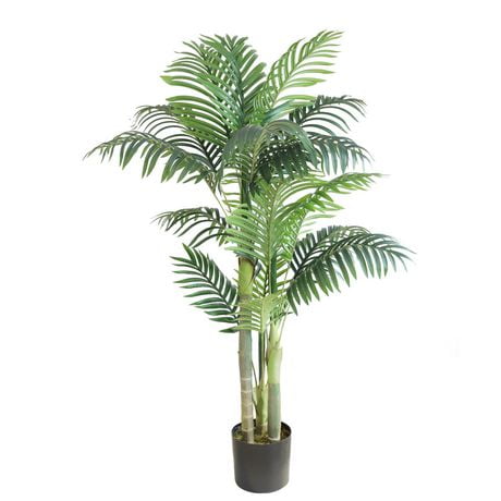 Palm Tree | Walmart Canada