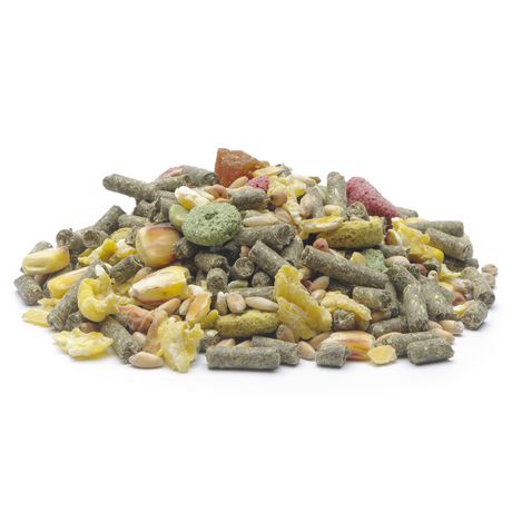 "living World Classic Food for Rabbits, 2.27 Kg (5 Lb) | Walmart Canada