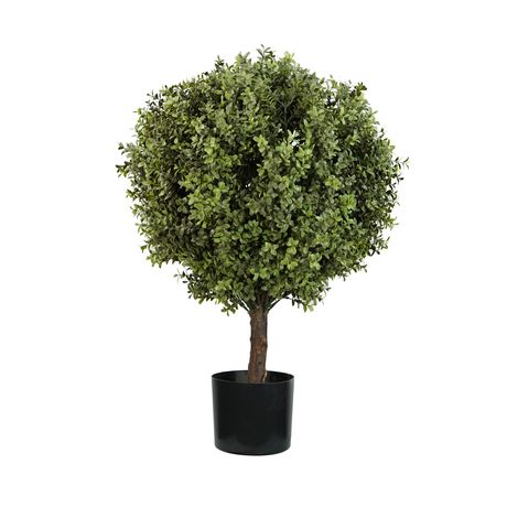 Round Boxwood Topiary | Walmart Canada
