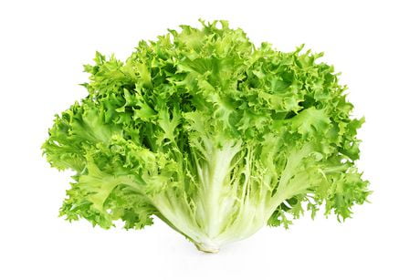 Lettuce, Escarole - Walmart.ca