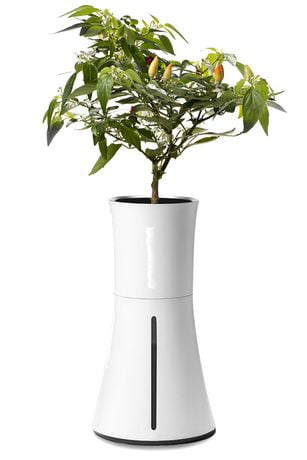 Click here for Botanium Hydroponic Self-Watering Smart Planter Wh... prices