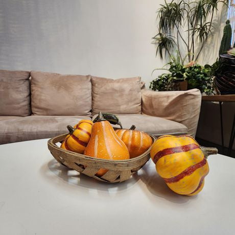 Way to Celebrate Orange & Green Bagged Mini Pumpkin and Gourd 5pc ...