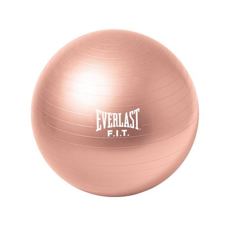 Everlast 55cm Burst Resistant Fitness Ball | Walmart Canada