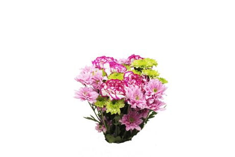 Flower Bouquet Summer Mum Carnation Duo, Fresh flowers bursting in ...