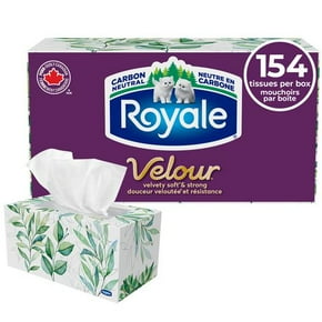 Facial Tissue | Walmart Canada