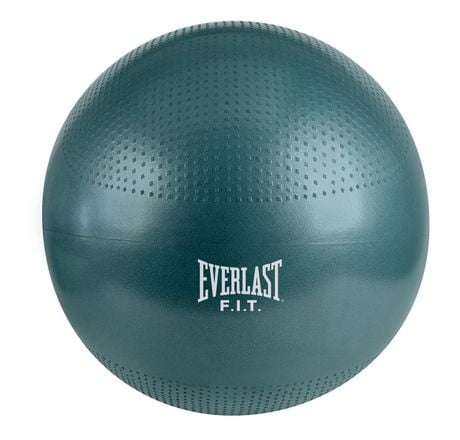 Everlast PRO Grip Fitness Ball 75 Cm (30”) | Walmart Canada