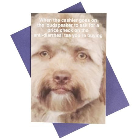 What Do You Meme?® Get Well Card (Embarrassing Price Check) - Walmart.ca