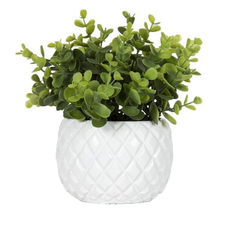 Lanier Potted Plant in White Pot - Walmart.ca
