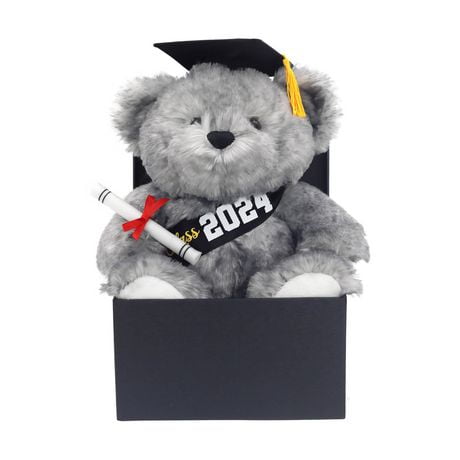 Way To Celebrate GRAD TEDDY IN BOX - Walmart.ca
