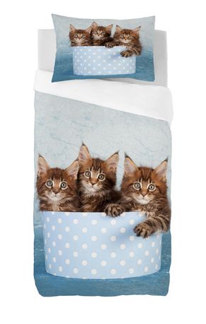 Click here for Gouchee Design Maine Coon Cats Twin Duvet Cover Se... prices