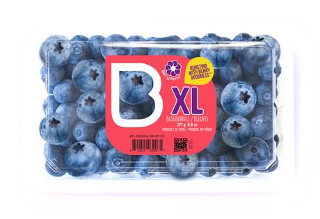 Blueberries XL, 277 g - Walmart.ca