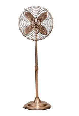 Click here for Ecohouzng 16 Inch Pedestal Fan Brown prices