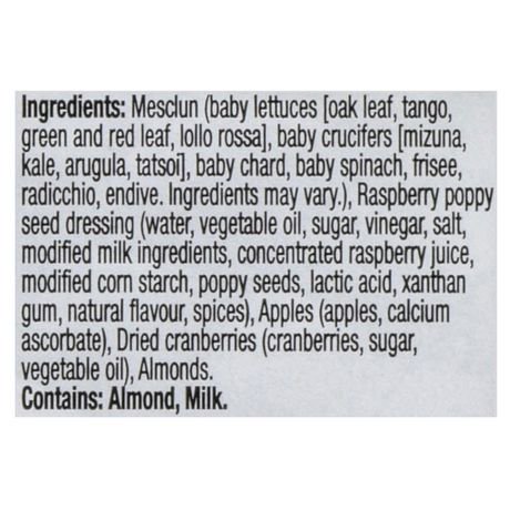 Fresh Attitude Spring Mix Salad Kit | Walmart Canada