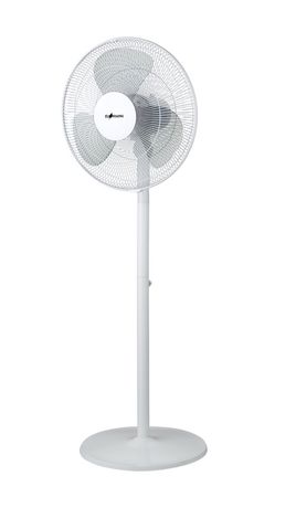 Click here for Ecohouzng 16 Inch Oscillating Pedestal Fan White prices