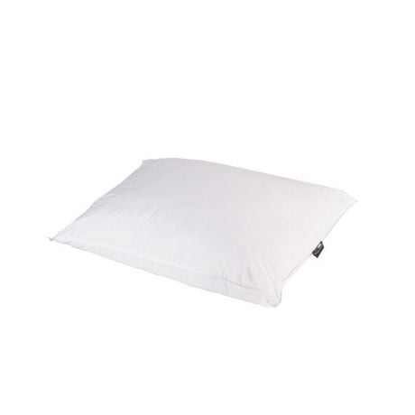 OBUSFORME Foam Pillow - Walmart.ca
