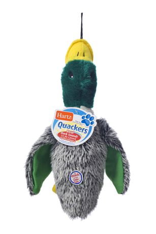 Click here for Hartz Nc Quackers Dog Toy Blue  Green Or Red 16 In prices