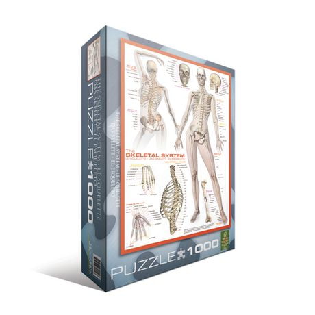 The Skeletal System - Detail Puzzle | Walmart Canada