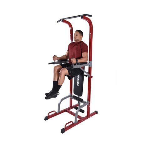 Stamina Full Body Power Tower 1735 | Walmart Canada