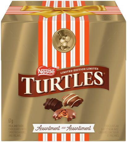 NESTLÉ® TURTLES® Chocolate Assorted Flavours | Walmart Canada
