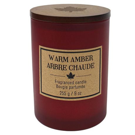Warm Amber Scented Candle | Walmart Canada