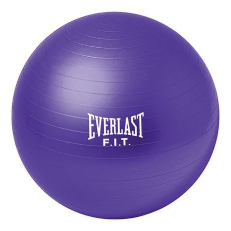 Everlast 65cm Burst Resistant Fitness Ball | Walmart Canada