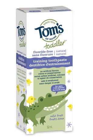 Tom's Of Maine Natural Toddler Fluoride Free Training Toothpaste Mild ...