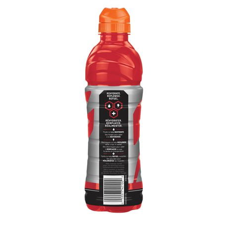 Gatorade Fruit Punch Sports Drink, 710 mL Bottle | Walmart Canada